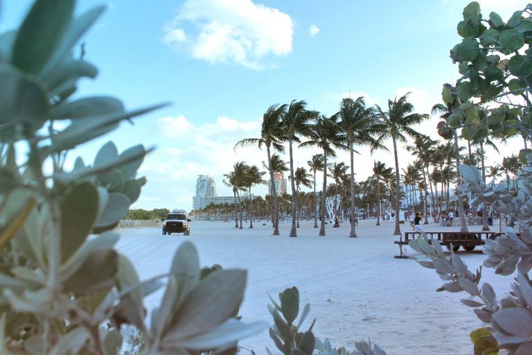 Road-trip en Floride ! A la découverte du Sunshine State... - My Own ...