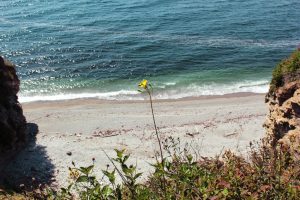 Road-Trip Gaspésie - Le parc National Forillon - My Own Journeys